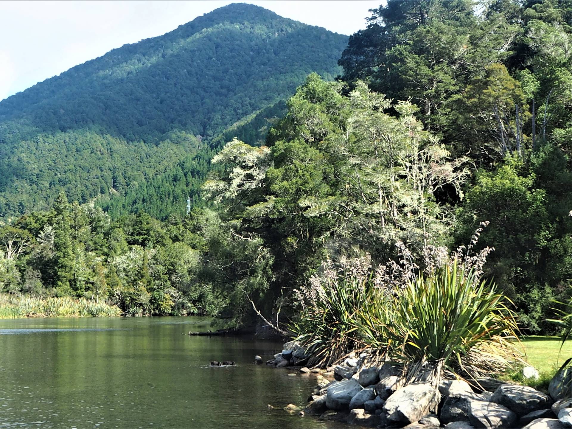 LAKE ROTOROA - Susan Boyd Photography