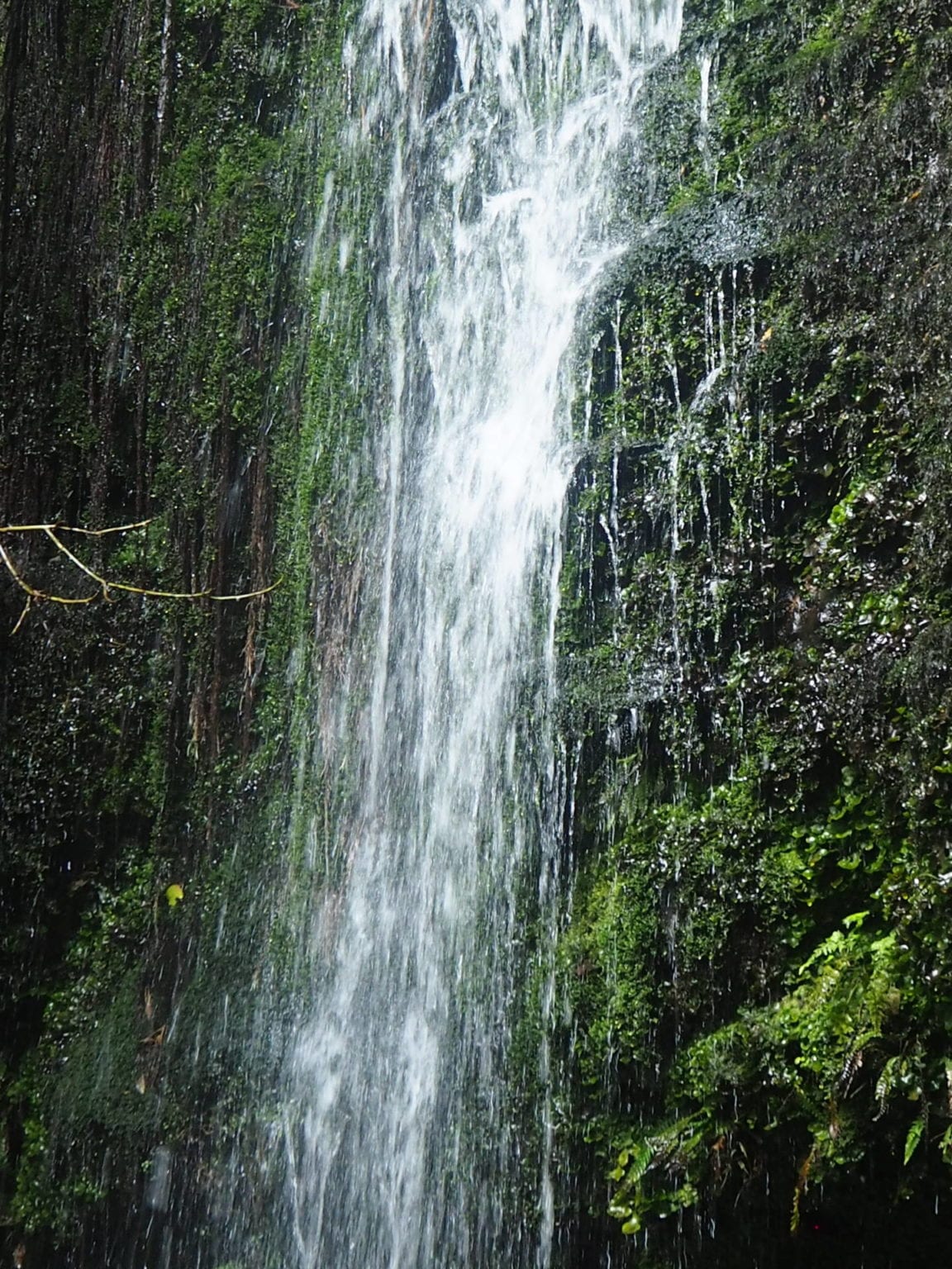 NEWTONS WATERFALL - Susan Boyd Photography
