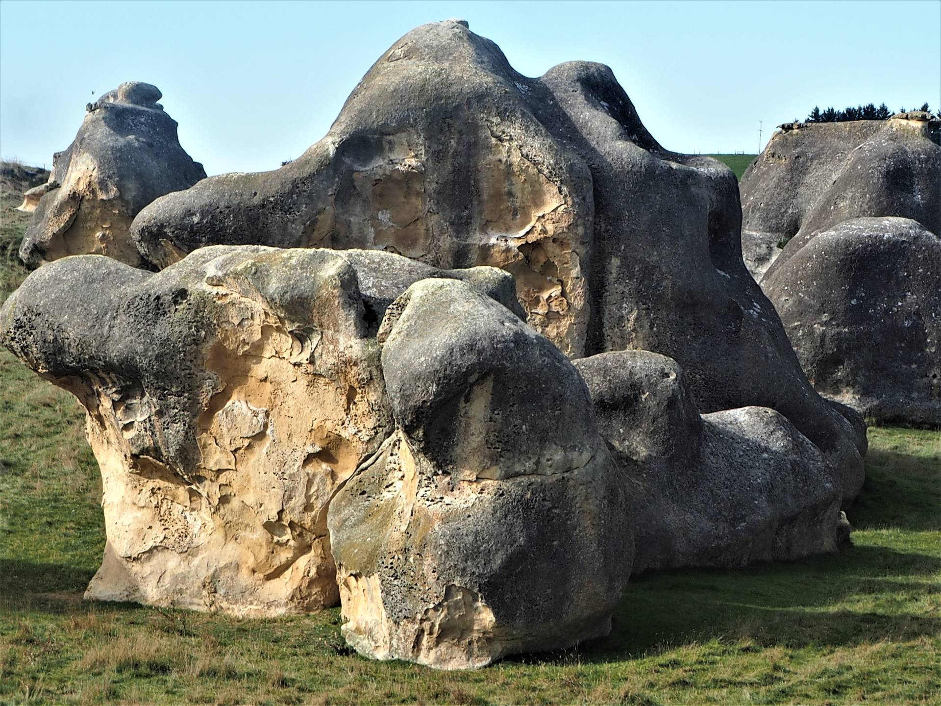 ELEPHANT ROCKS - Susan Boyd Photography