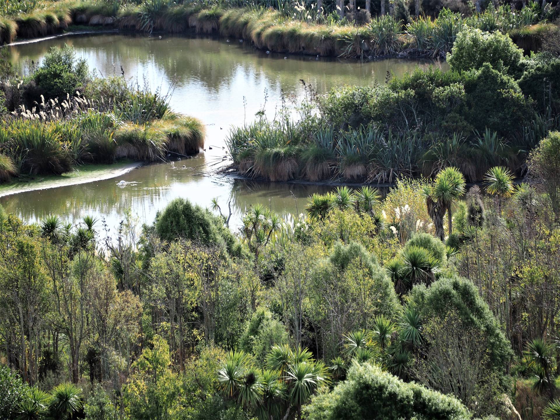 HALSWELL QUARRY WALKS - Susan Boyd Photography