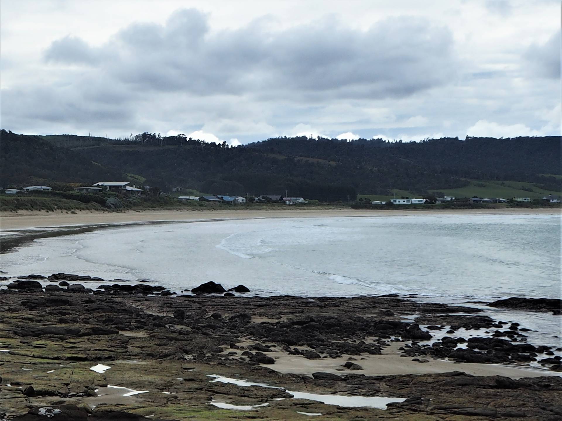 CURIO BAY - Susan Boyd Photography