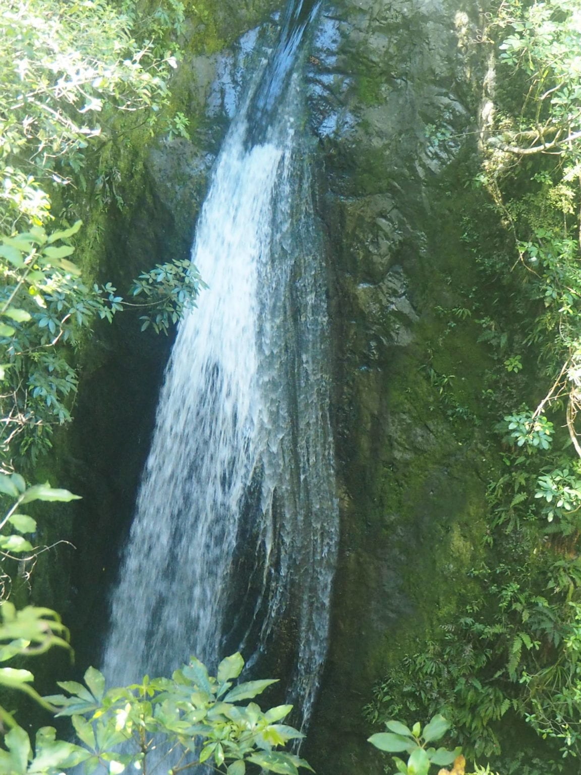 GLENTUI WATERFALL - Susan Boyd Photography