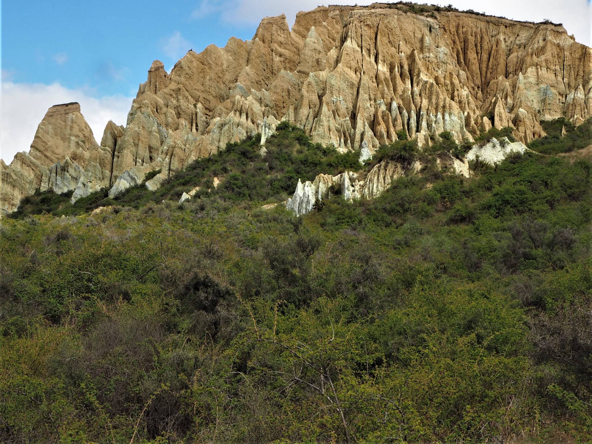 CLAY CLIFFS - OMARAMA - Susan Boyd Photography