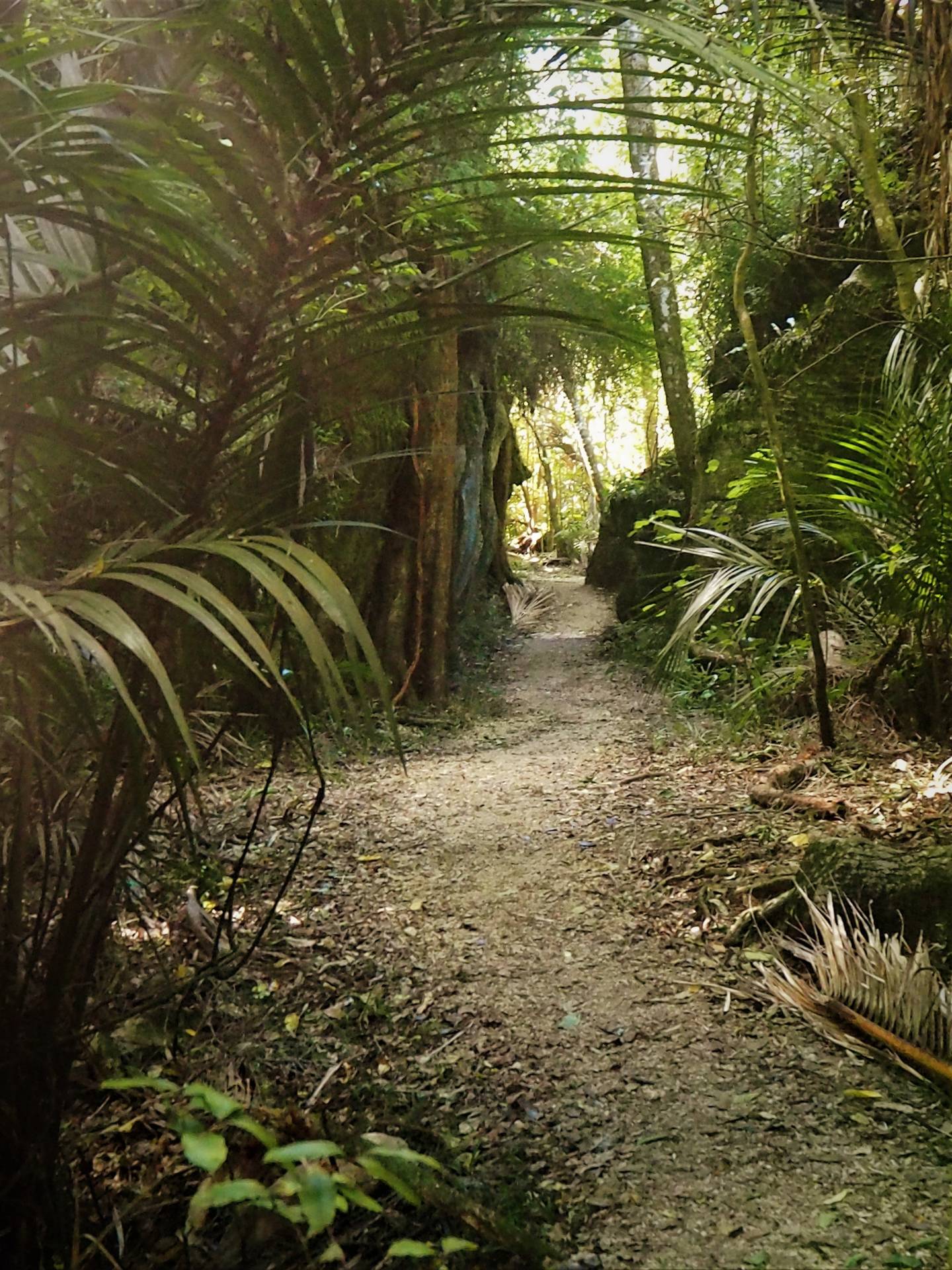GROVE SCENIC LOOKOUT - Susan Boyd Photography