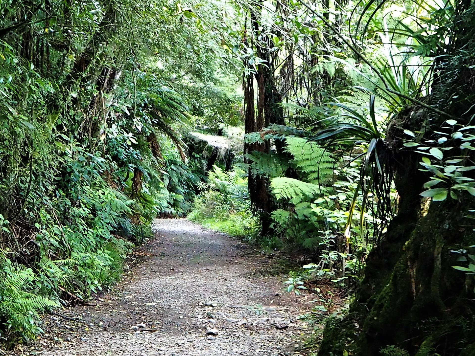 PAINES FORD TRAMLINE TRACK & LIMESTONE CLIFFS - Susan Boyd Photography