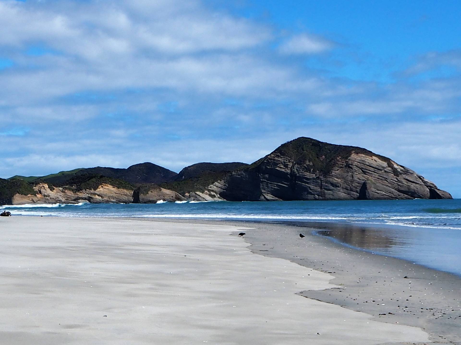WHAKARIKI BEACH - Susan Boyd Photography