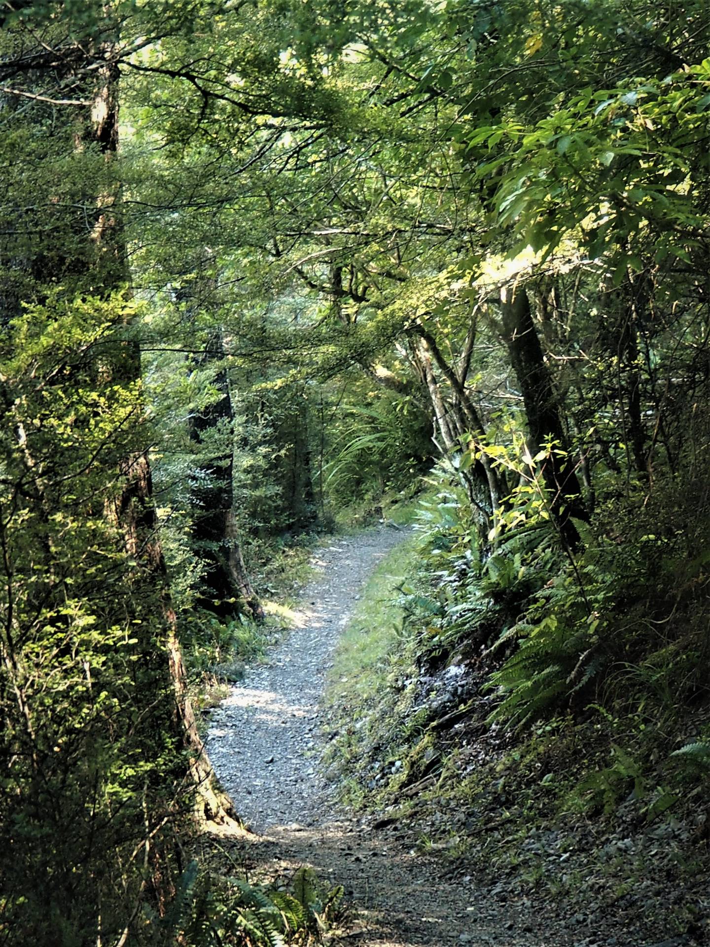 GLENTUI WALKS - Susan Boyd Photography