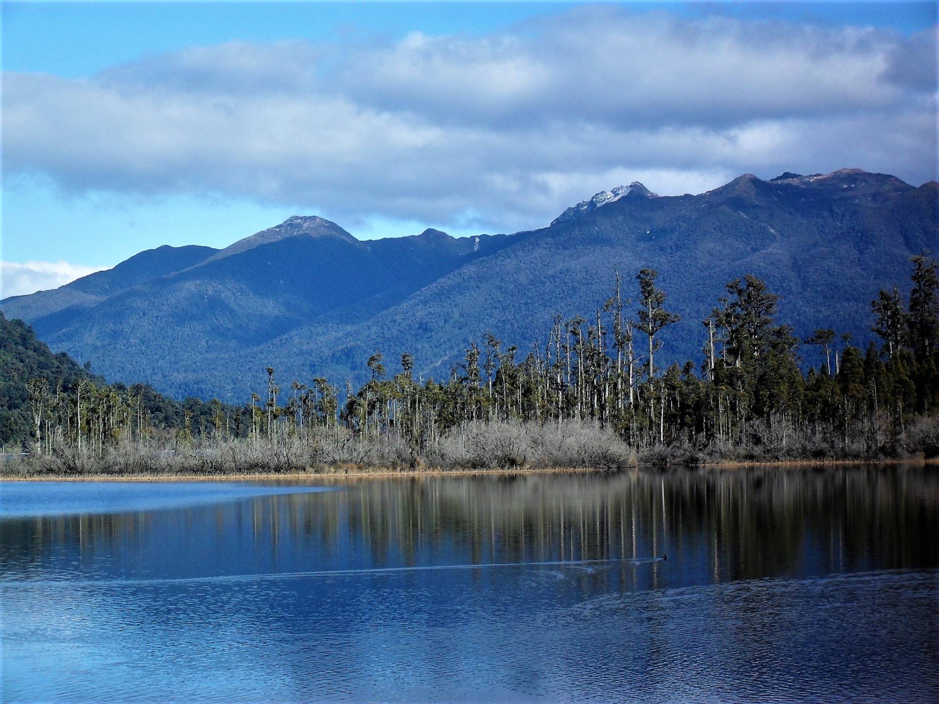 LAKE BRUNNER - Susan Boyd Photography