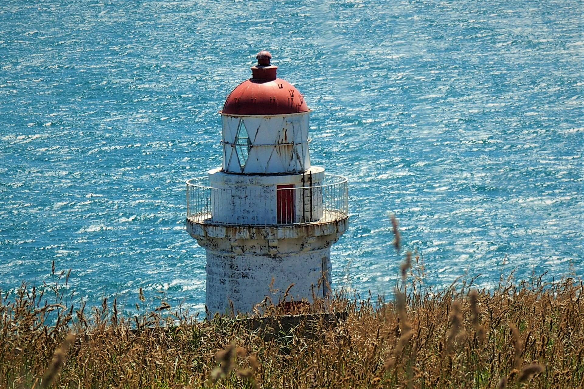 TAIAROA HEAD LIGHTHOUSE - Susan Boyd Photography