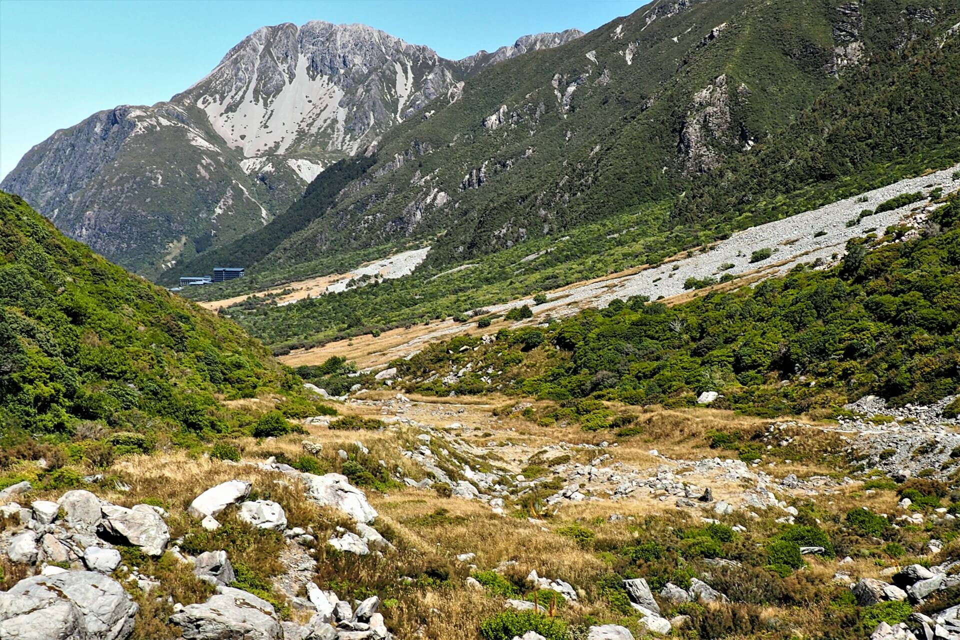 KEA POINT TRACK - Susan Boyd Photography