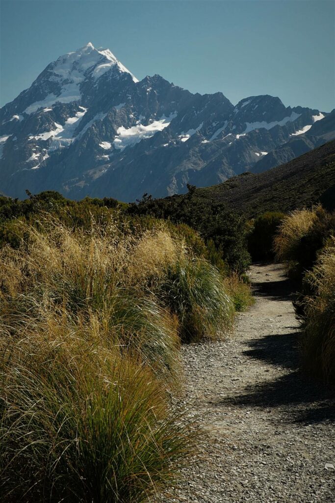 HOOKER VALLEY TRACK - Susan Boyd Photography