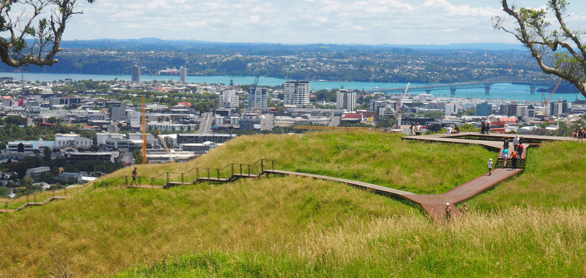 MAUNGAWHAU / MT EDEN PATH - Susan Boyd Photography