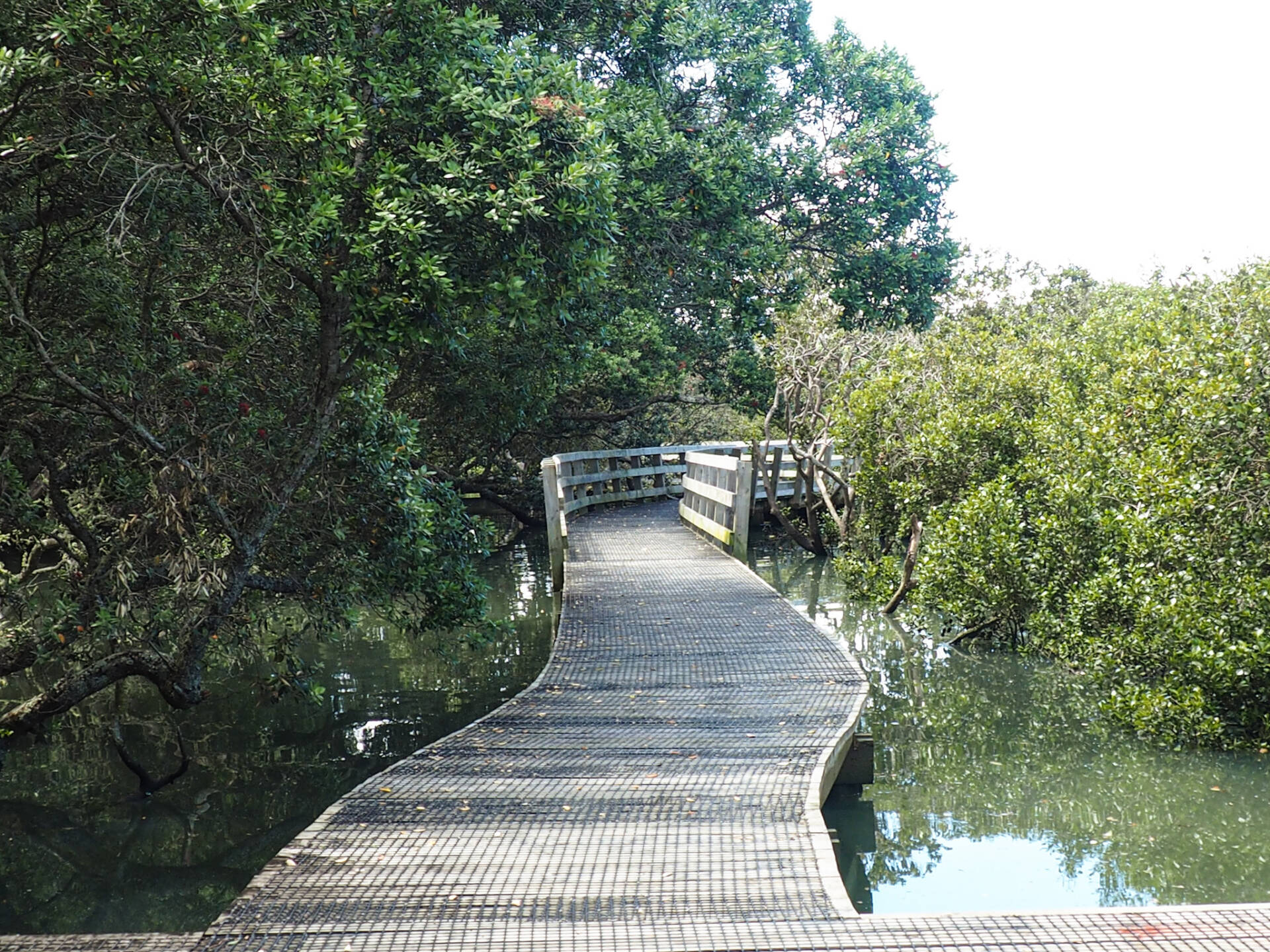 WEONA-WESTERMERE PATH - Susan Boyd Photography